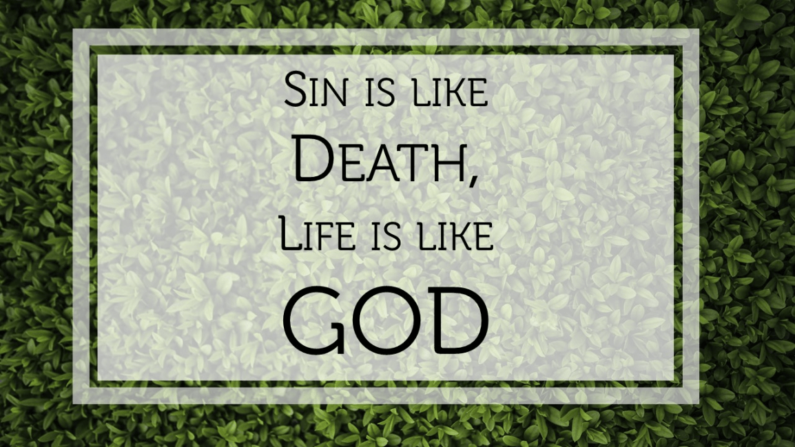 Sin is Like Death - Life is Like God | The MCBC
